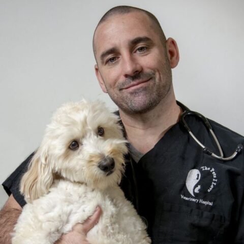 Veterinarian In Monroe, NY 10950 | The Pets I Love Veterinary Hospital