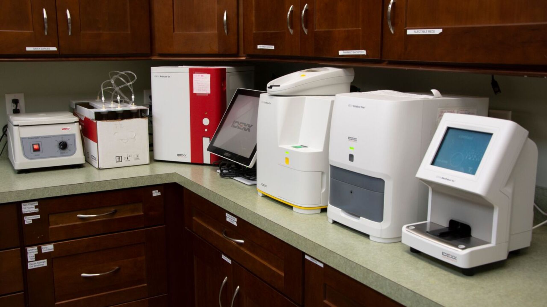 Pet In-House Laboratory In Monroe, NY 10950 | The Pets I Love ...